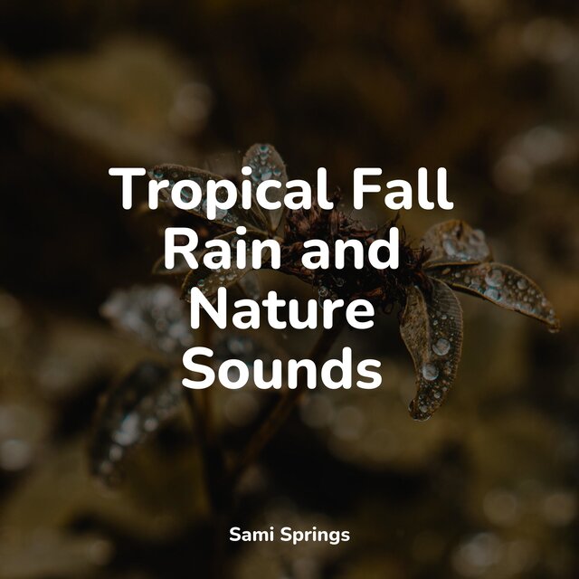 Tropical Fall Rain and Nature Sounds by Rain Makers on TIDAL