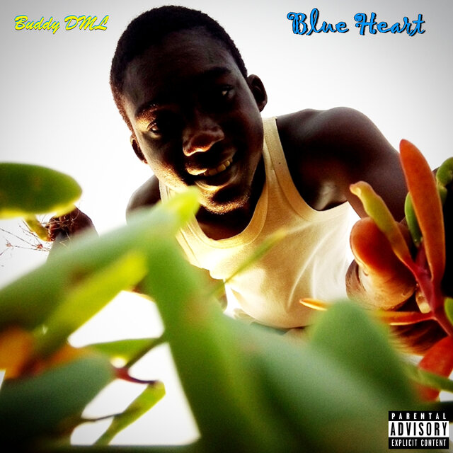 Buddy DML on TIDAL