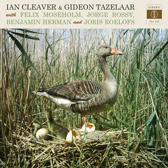 Volume 1 by Ian Cleaver on TIDAL