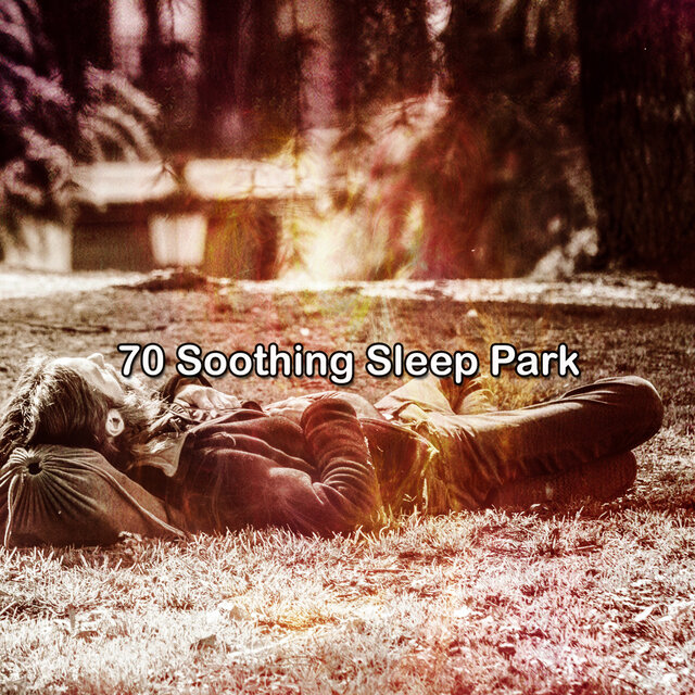 70 Soothing Sleep Park by Dormir on TIDAL