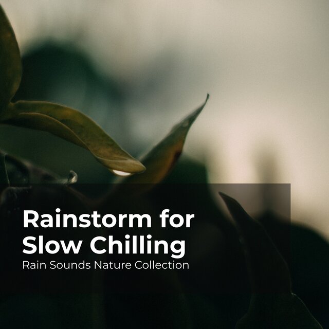 Rainstorm for Slow Chilling by Rain Sounds Nature Collection on TIDAL
