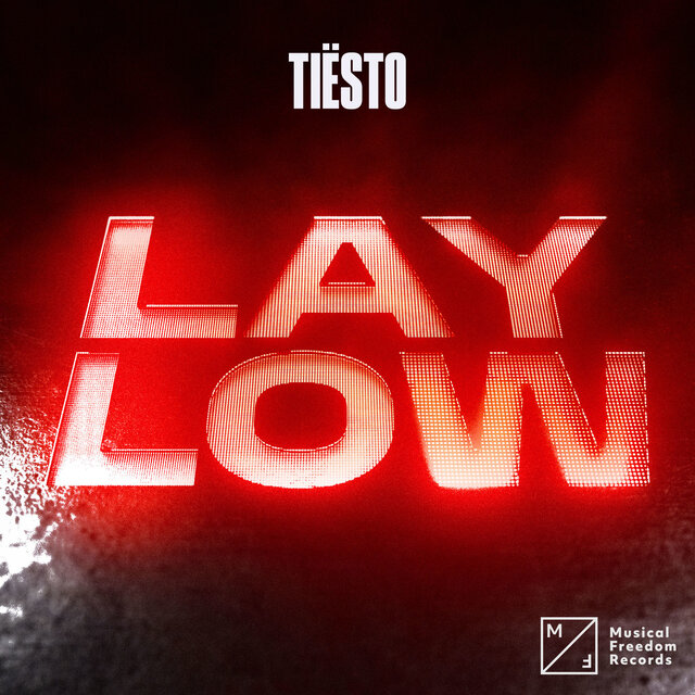 Lay Low by Tiësto on TIDAL
