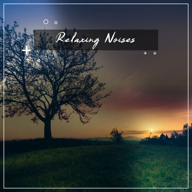 21 Soothing Zen Songs to Aid Calm and Relaxation by Avslappning Sound ...