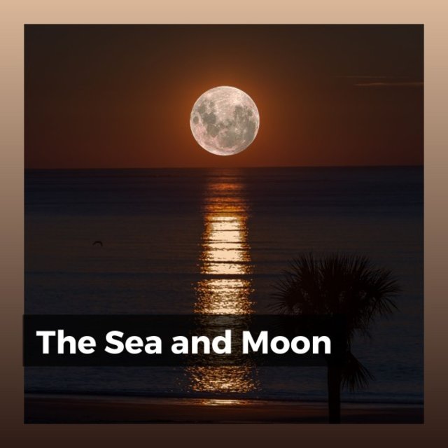 The Sea and Moon by Ocean & Sea Sounds on TIDAL