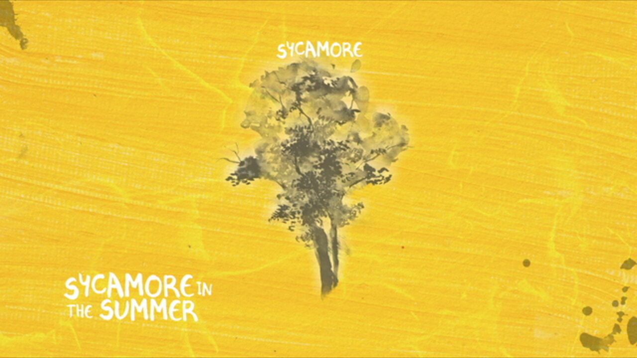 Sycamore (Lyric Video) by Ed Sheeran on TIDAL