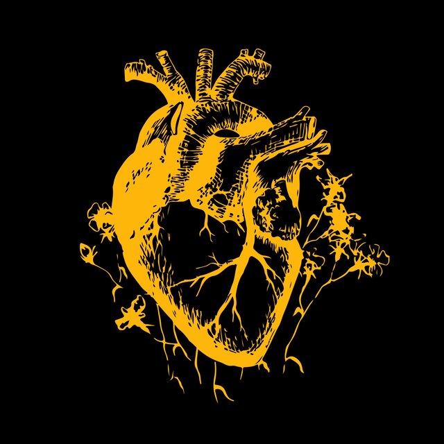 Crazy Heart by Jerry And The Heartbreak Company on TIDAL