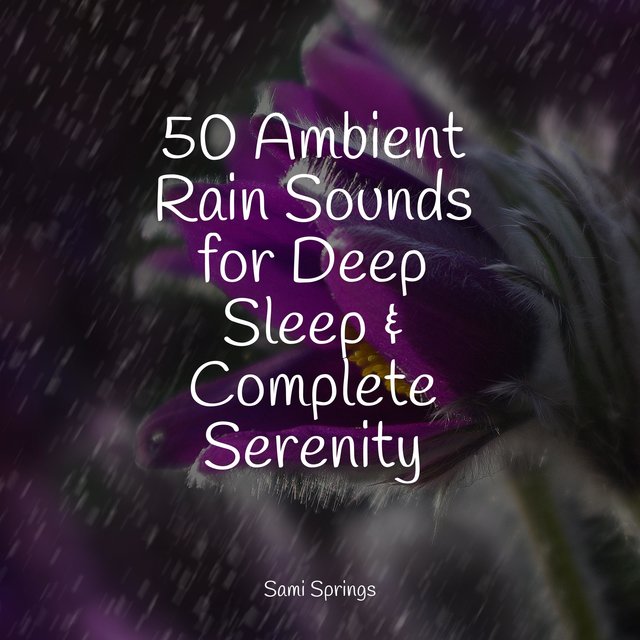 50 Ambient Rain Sounds for Deep Sleep & Complete Serenity by Forest Soundscapes on TIDAL