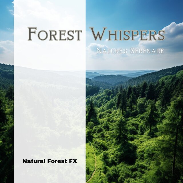 Forest Whispers: Nature's Serenade by Natural Forest FX on TIDAL