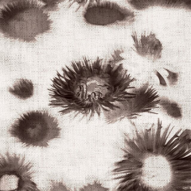 Animated Alfa Romeo by Twisted on TIDAL