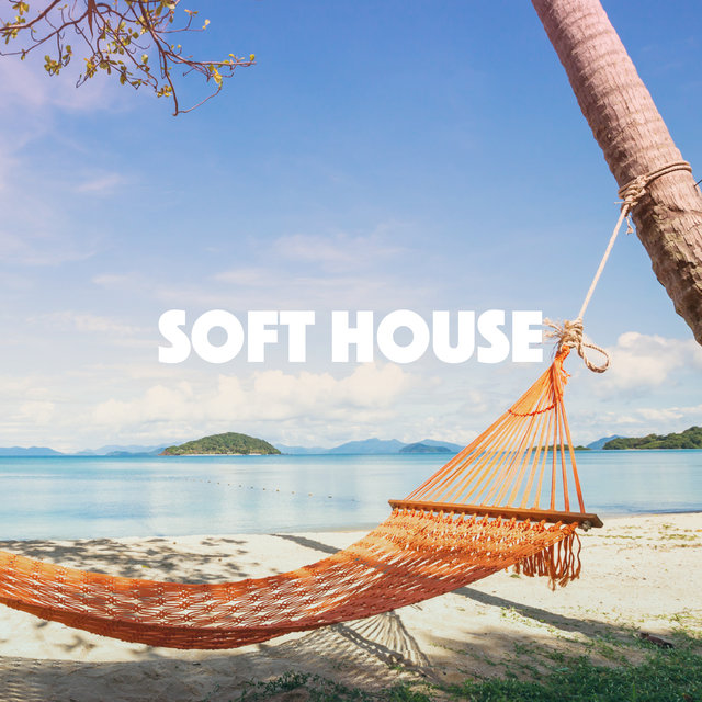 Soft House by Lounge Cafe on TIDAL