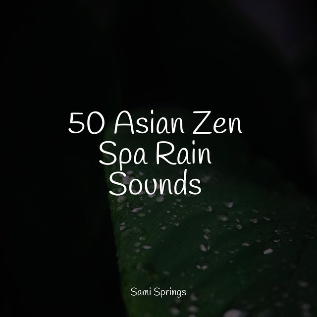 50 Asian Zen Spa Rain Sounds by Nature Sound Series on TIDAL
