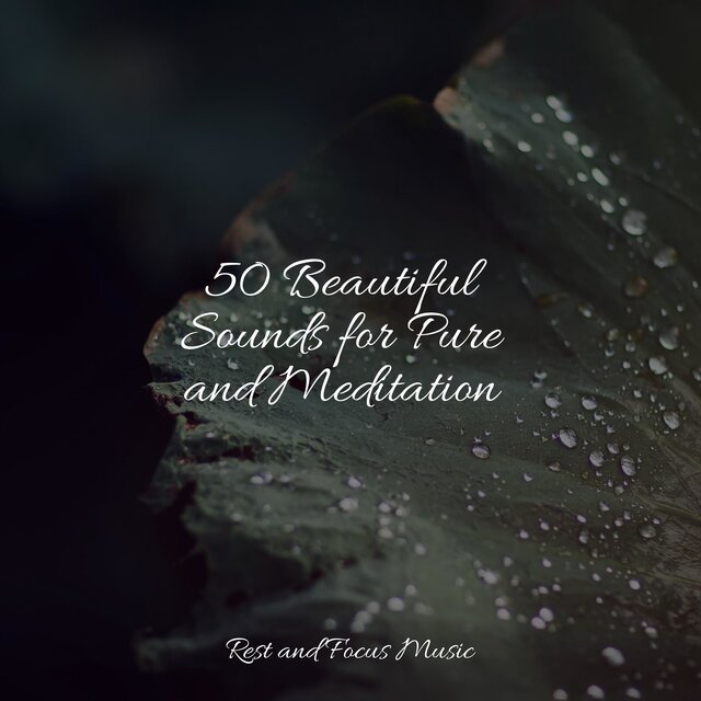50 Beautiful Sounds for Pure and Meditation by Relaxation Music Guru on ...