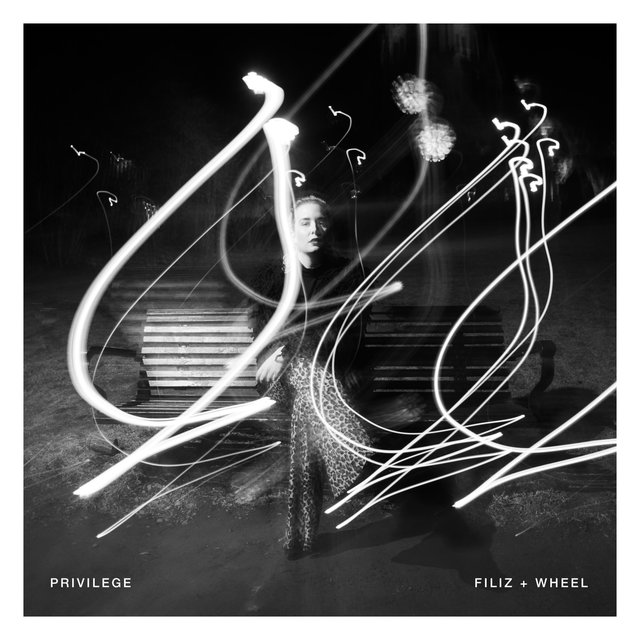 Privilege by Wheel on TIDAL