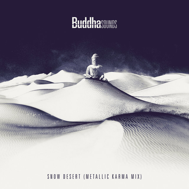 Snow Desert (Metallic Karma Mix) by Buddha Sounds on TIDAL