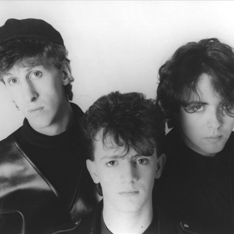 The Icicle Works on TIDAL