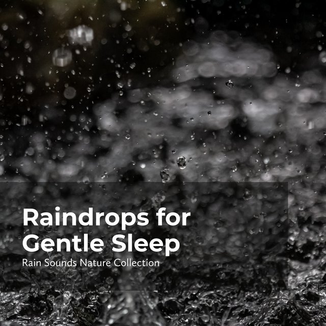 Raindrops for Gentle Sleep by Rain Sounds Nature Collection on TIDAL