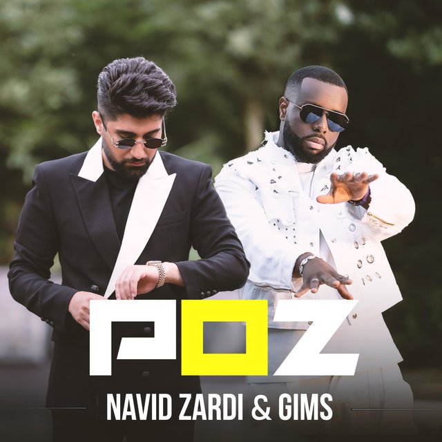 Navid Zardi on TIDAL
