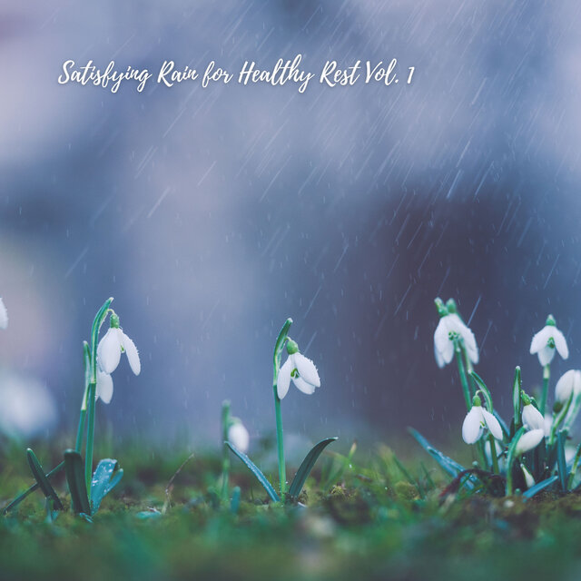 Satisfying Rain for Healthy Rest Vol. 1 by Nature Sleep on TIDAL