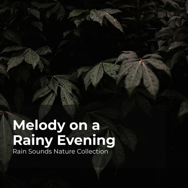 Melody on a Rainy Evening by Rain Sounds Nature Collection, ASMR Rain ...