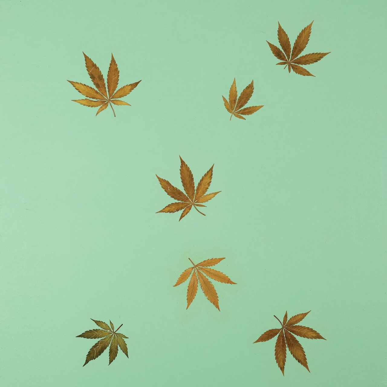 Untitled by Hype Williams on TIDAL