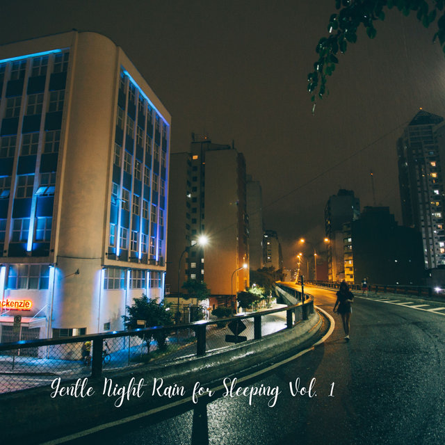 Gentle Night Rain for Sleeping Vol. 1 by Dogs Music Therapy on TIDAL