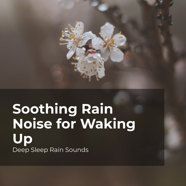 Rainfall While Sleeping by Deep Sleep Rain Sounds on TIDAL