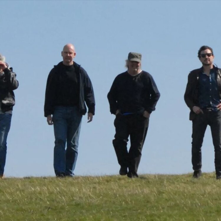 The Bevis Frond on TIDAL