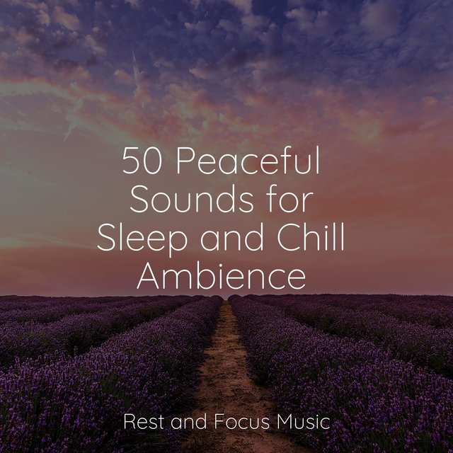 50 Peaceful Sounds for Sleep and Chill Ambience by Bath Spa Relaxing ...