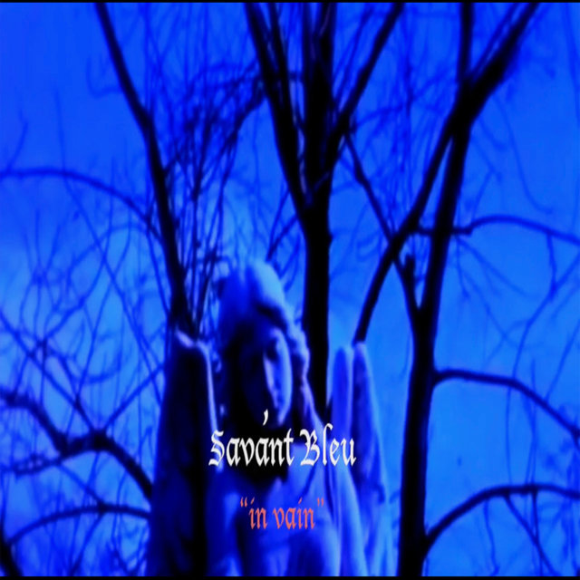 In Vain by Savant Bleu & Sam B on TIDAL