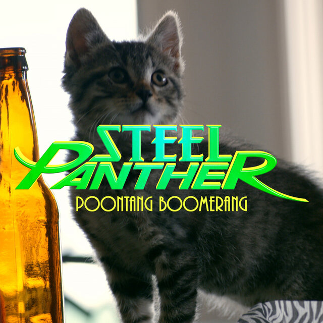 Poontang Boomerang by Steel Panther on TIDAL