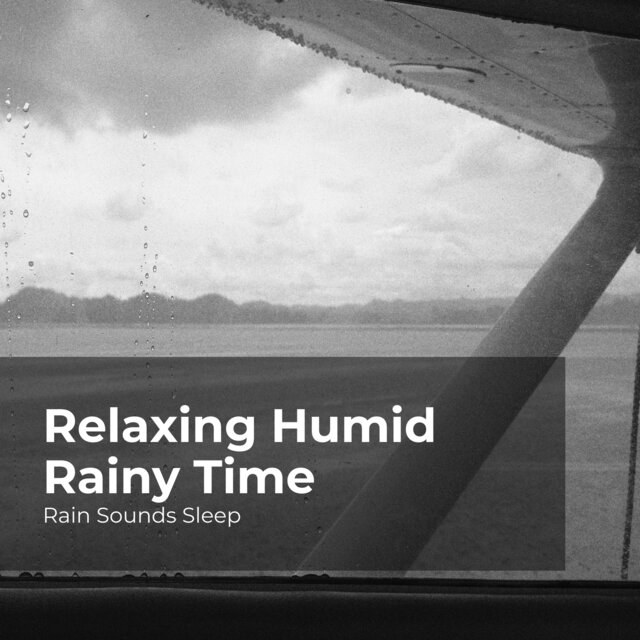 Relaxing Humid Rainy Time by Rain Sounds Sleep on TIDAL
