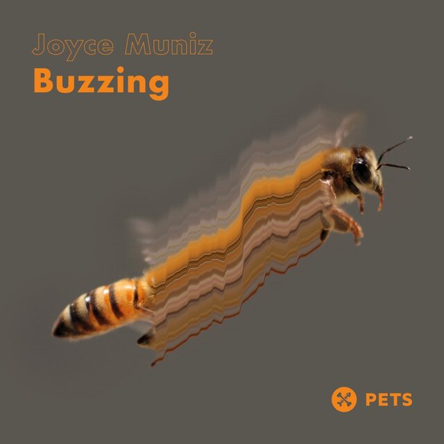 Buzzing EP by Joyce Muniz on TIDAL