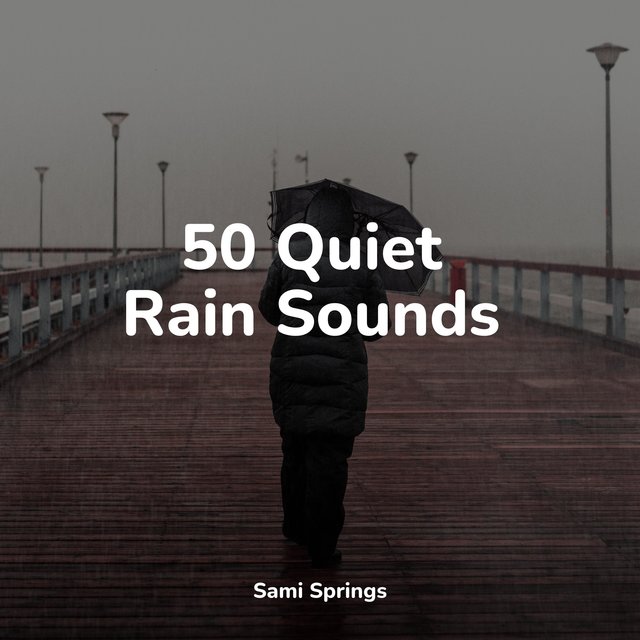 50 Quiet Rain Sounds by Academia de Relaxamento e Meditação on TIDAL