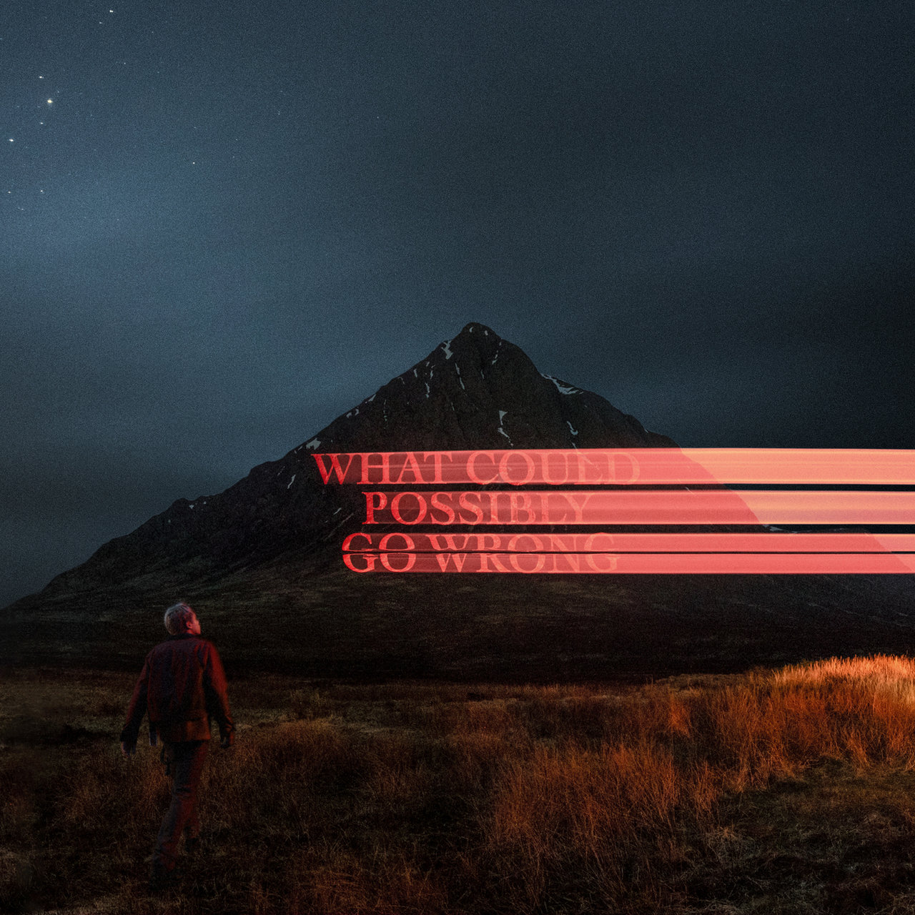 What Could Possibly Go Wrong by Dominic Fike on TIDAL