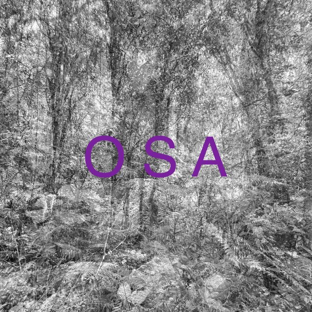 Guidance by Osa on TIDAL