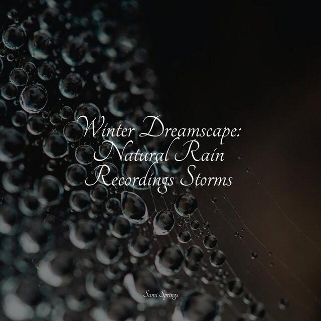 Winter Dreamscape: Natural Rain Recordings Storms by Meditation Zen ...