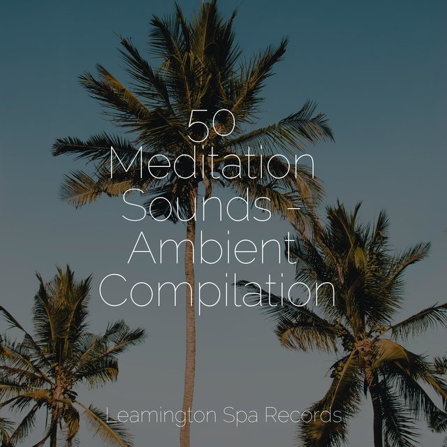 50 Meditation Sounds - Ambient Compilation by Natural Rain Sounds for ...