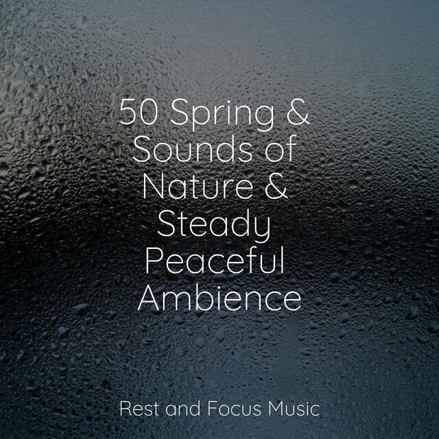 50 Spring & Sounds of Nature & Steady Peaceful Ambience by Sounds of ...
