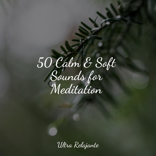 50 Calm & Soft Sounds for Meditation by Spa Relaxation & Spa ...