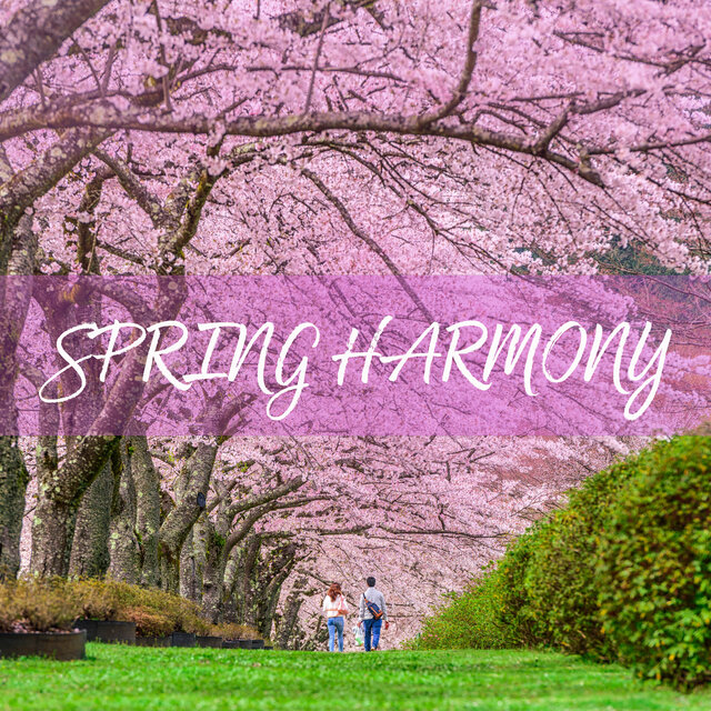 Spring Harmony: Quiet Contemplation and Full Relaxation by Total Relax Zone on TIDAL