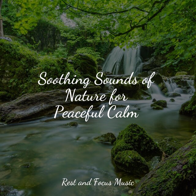 Soothing Sounds of Nature for Peaceful Calm by Smart Baby Lullaby on TIDAL