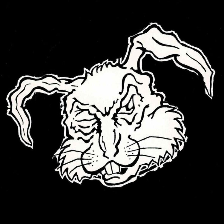 Won't Say Rabbit on TIDAL