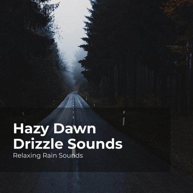 Hazy Dawn Drizzle Sounds by Relaxing Rain Sounds on TIDAL