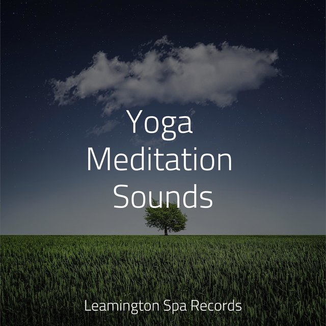 Yoga Meditation Sounds By Ambient Arena On Tidal