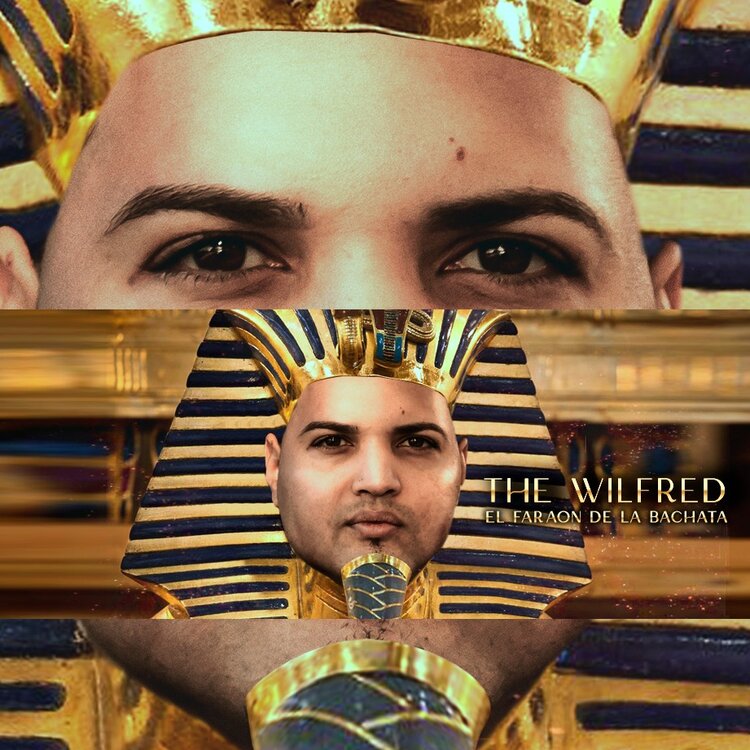 The Wilfred on TIDAL