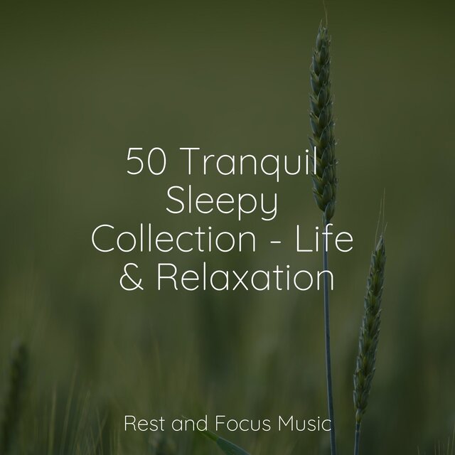 50 Tranquil Sleepy Collection - Life & Relaxation by Sleep Sounds of ...