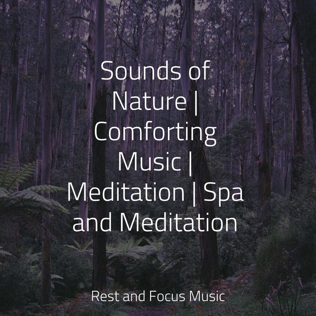 Sounds of Nature | Comforting Music | Meditation | Spa and Meditation ...
