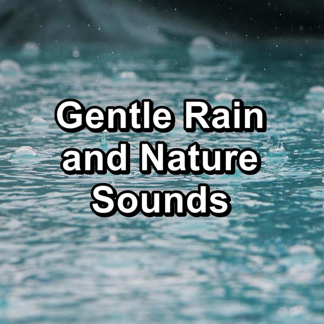 Gentle Rain and Nature Sounds by Spa, Relaxation and Dreams on TIDAL
