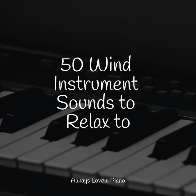 50 Wind Instrument Sounds to Relax to by Study Power on TIDAL