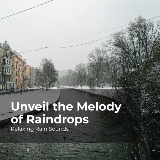 Comfy Rainy Weather by Relaxing Rain Sounds on TIDAL